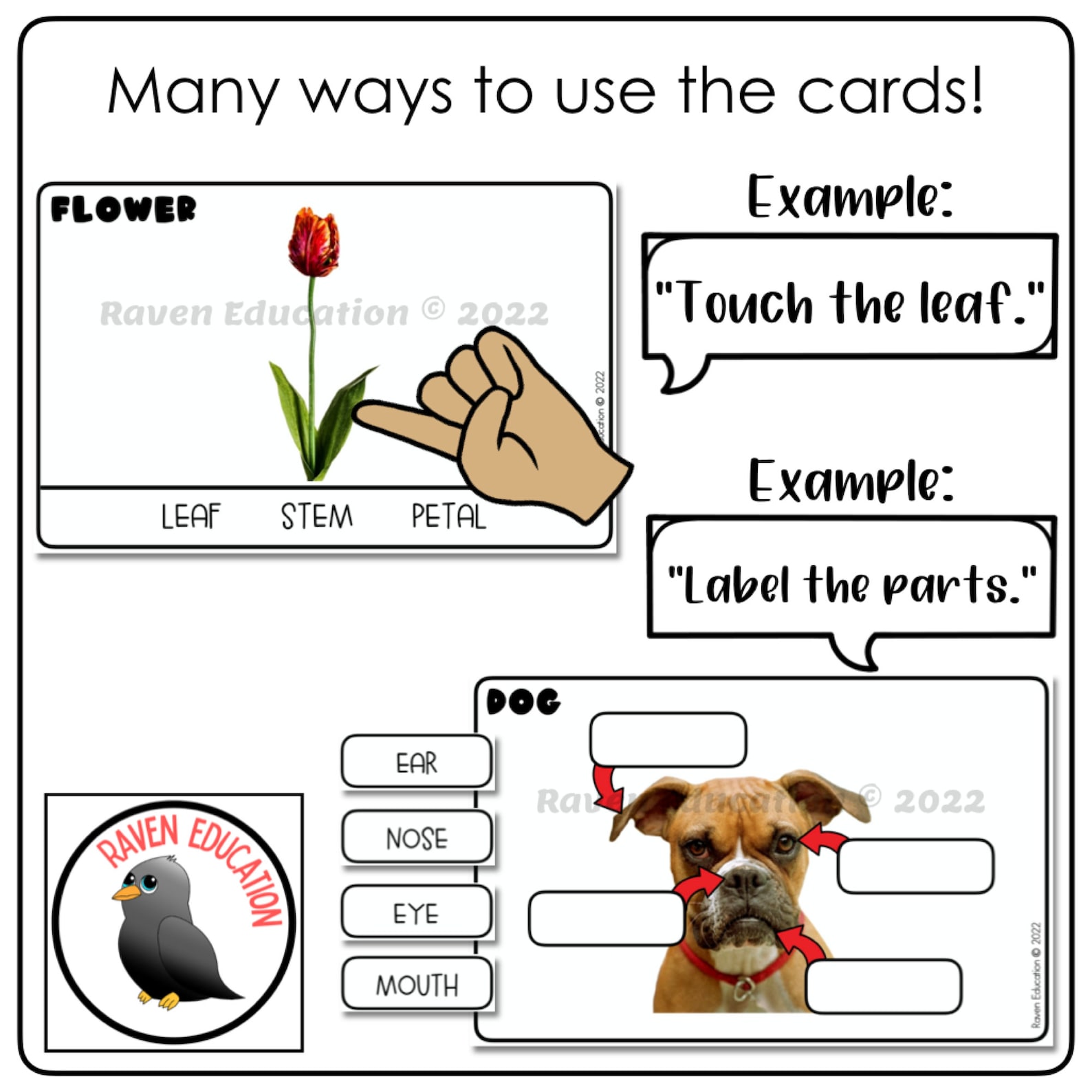 Parts of Objects Cards (aligned With ABLLS-R C23 + G12) - Etsy