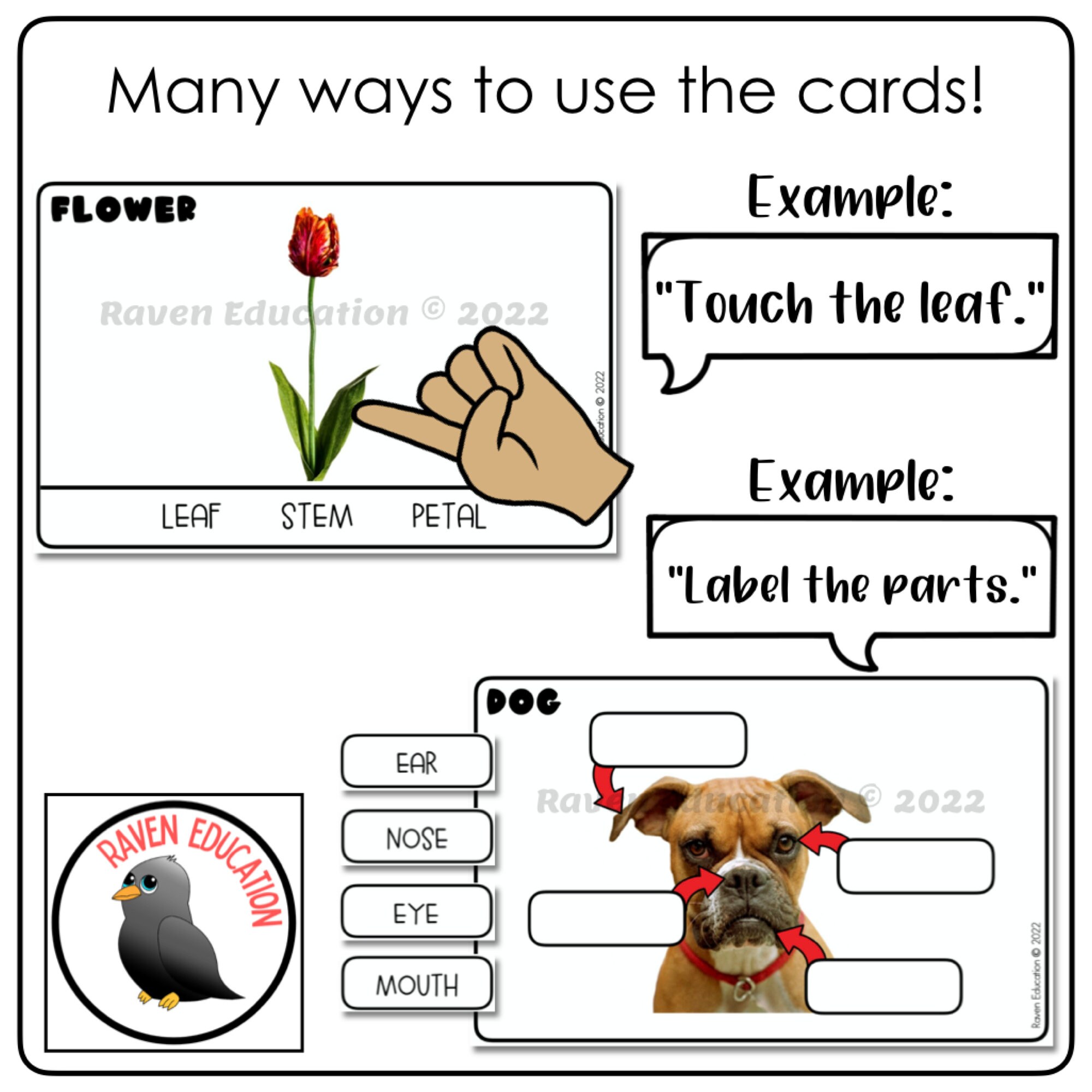 Parts of Objects Cards (aligned With ABLLS-R C23 + G12) - Etsy