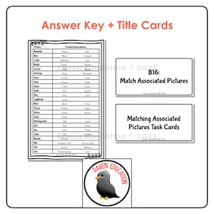 Matching Associated Pictures Task Cards (aligned With ABLLS-R B16) - Etsy