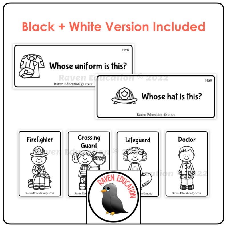 WHO WHOSE Question Cards ABLLS-R Aligned H28 - Etsy