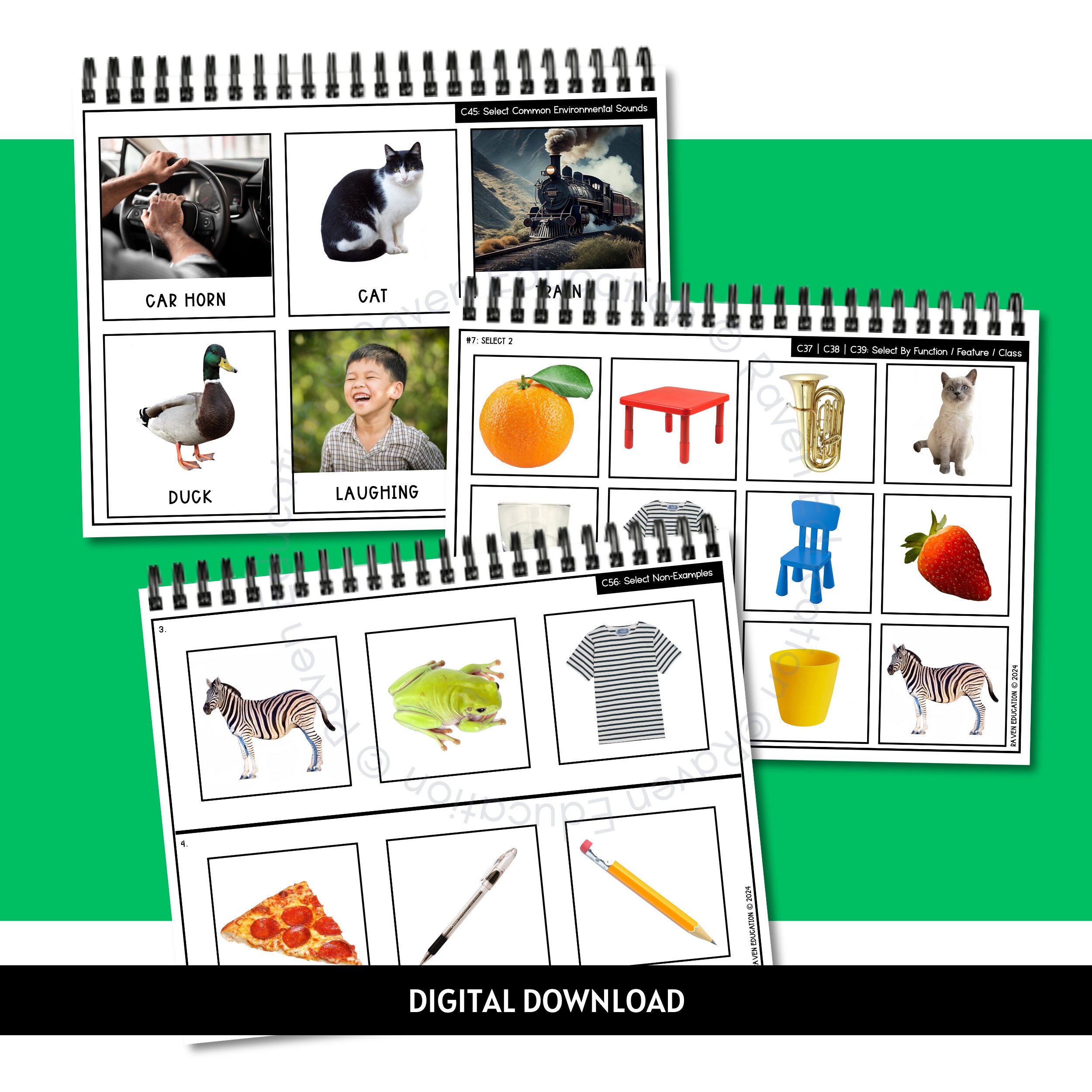 Receptive Language Assessment Binder Aligned With ABLLS-R C Tasks - Etsy