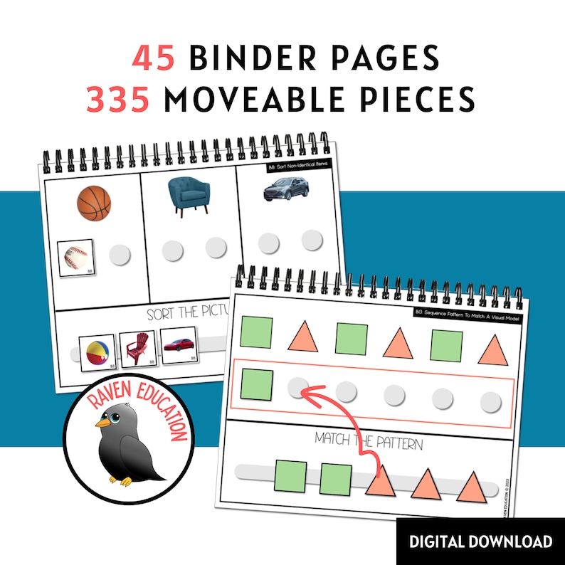 Visual Performance Assessment Binder - Aligned With ABLLS-R B Tasks ...