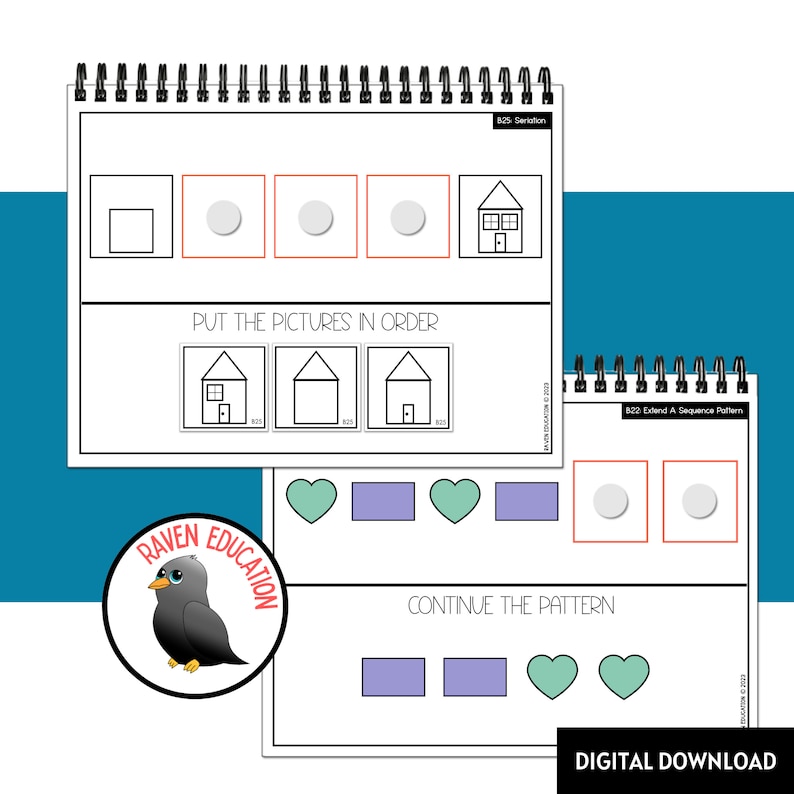 Visual Performance Assessment Binder - Aligned With ABLLS-R B Tasks ...