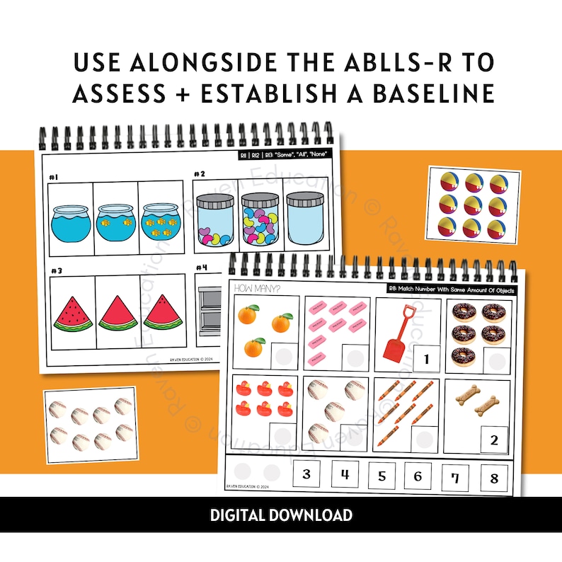 Math Skills Assessment Binder - Aligned With ABLLS-R R Tasks (special ...