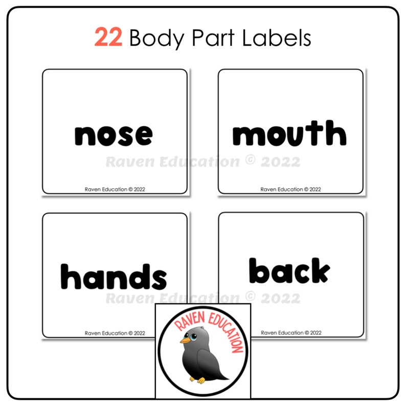 Body Parts Flash Cards Labels aligned With ABLLS-R C21 G5 - Etsy