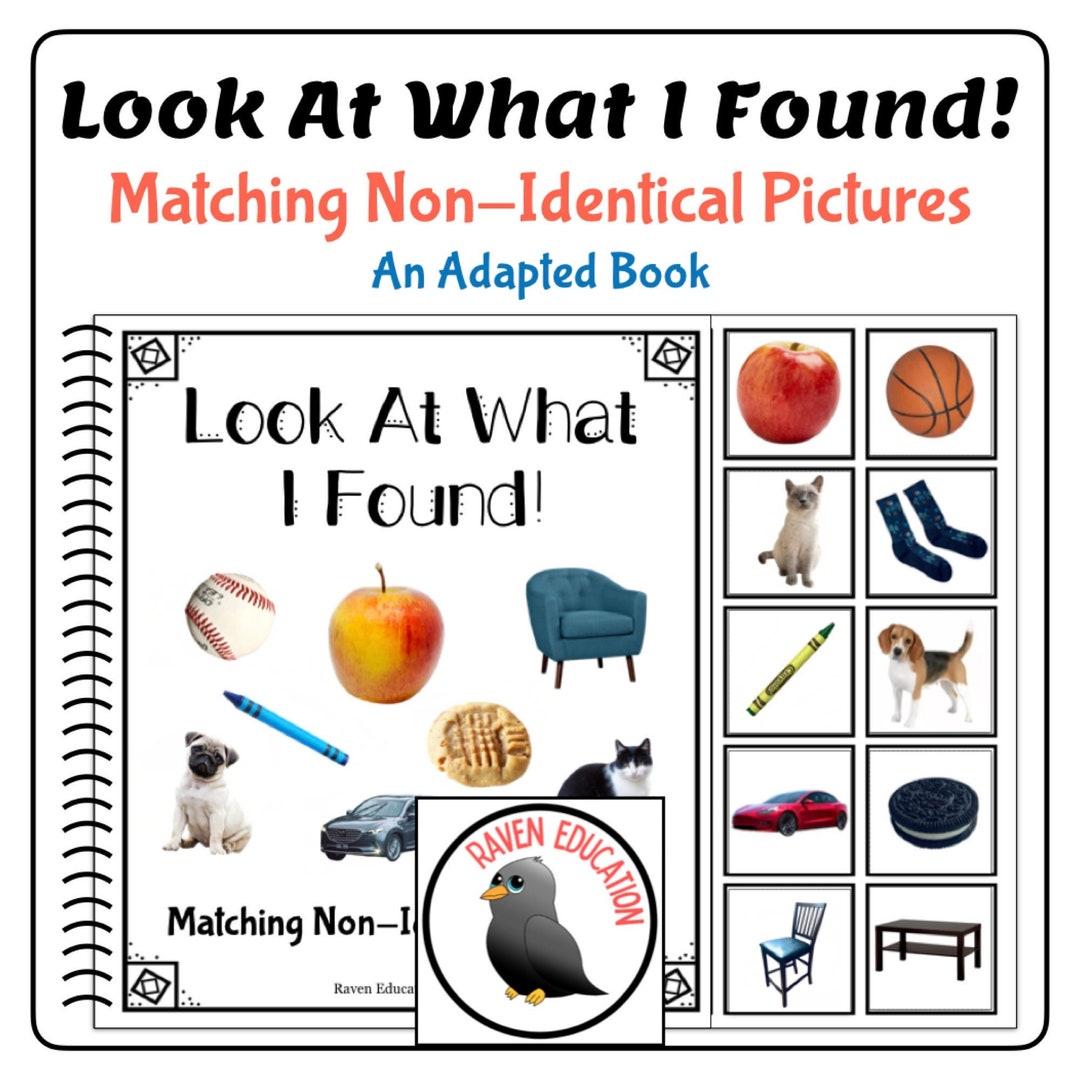 Look at What I Found! an Adapted Book Matching Non-identical Pictures ...