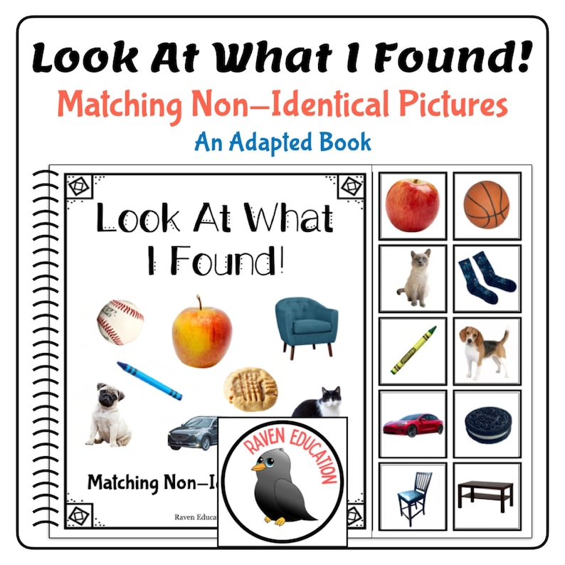 Look at What I Found! an Adapted Book Matching Non-identical Pictures ...