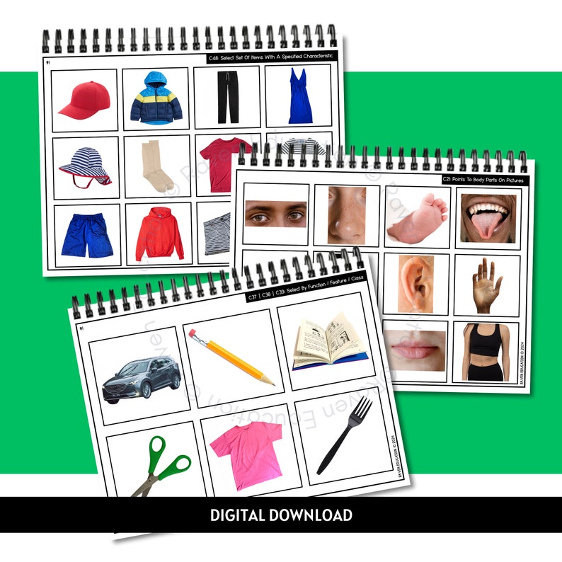 Receptive Language Assessment Binder Aligned With ABLLS-R C Tasks - Etsy