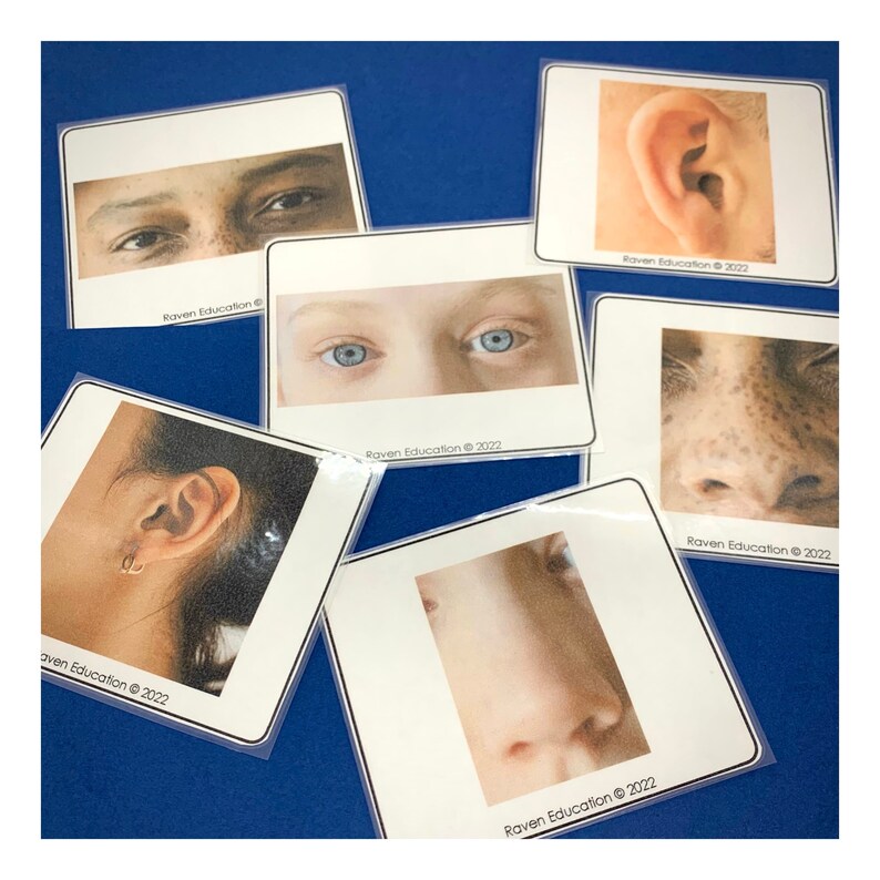 Body Parts Flash Cards Labels aligned With ABLLS-R C21 G5 - Etsy