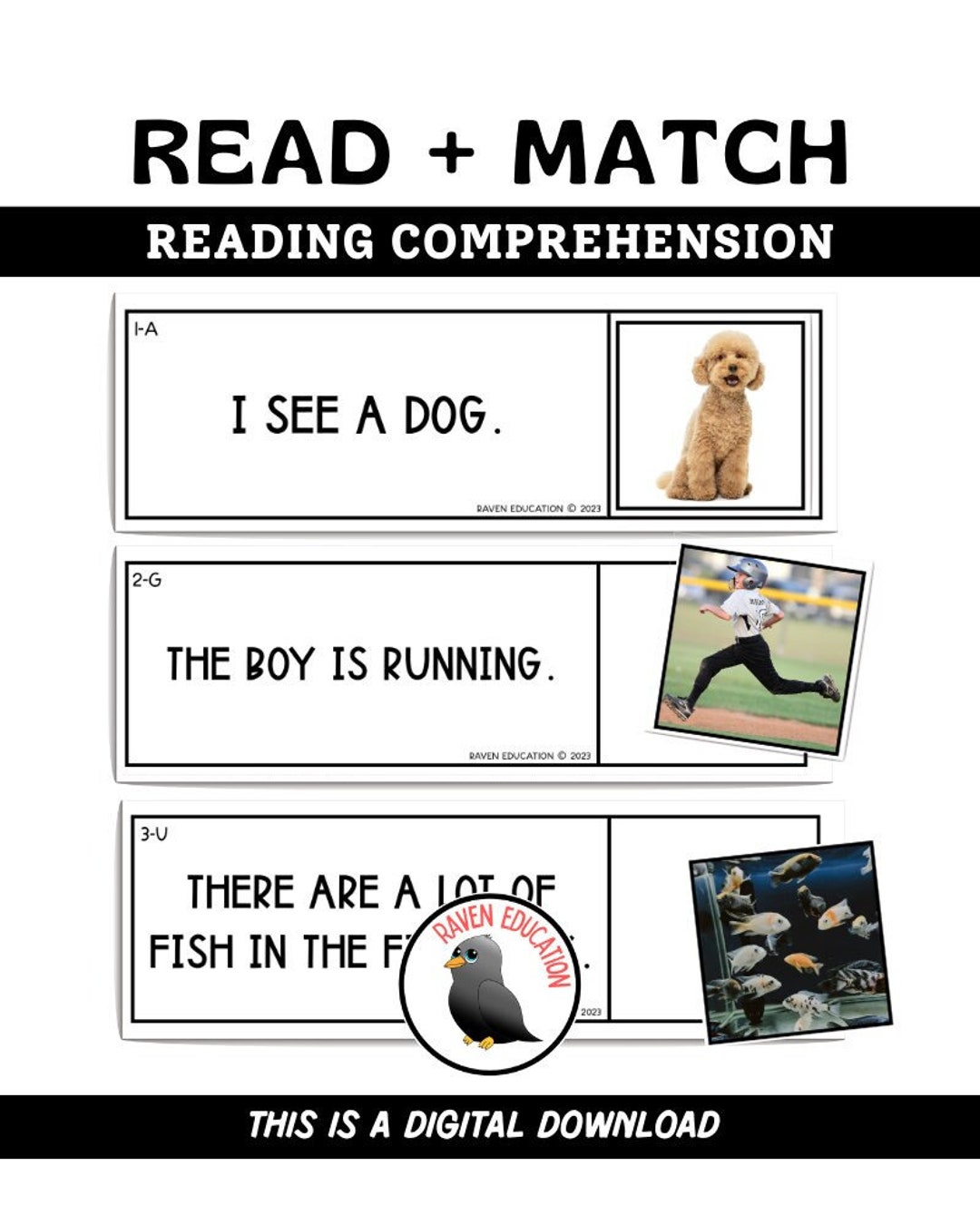 Read & Match: Reading Comprehension Activity (matching; Literacy; Task ...