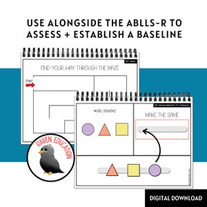 Visual Performance Assessment Binder - Aligned With ABLLS-R B Tasks ...