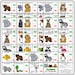 YES or NO Questions - Zoo Animals (50 Printable Task Cards) - Etsy
