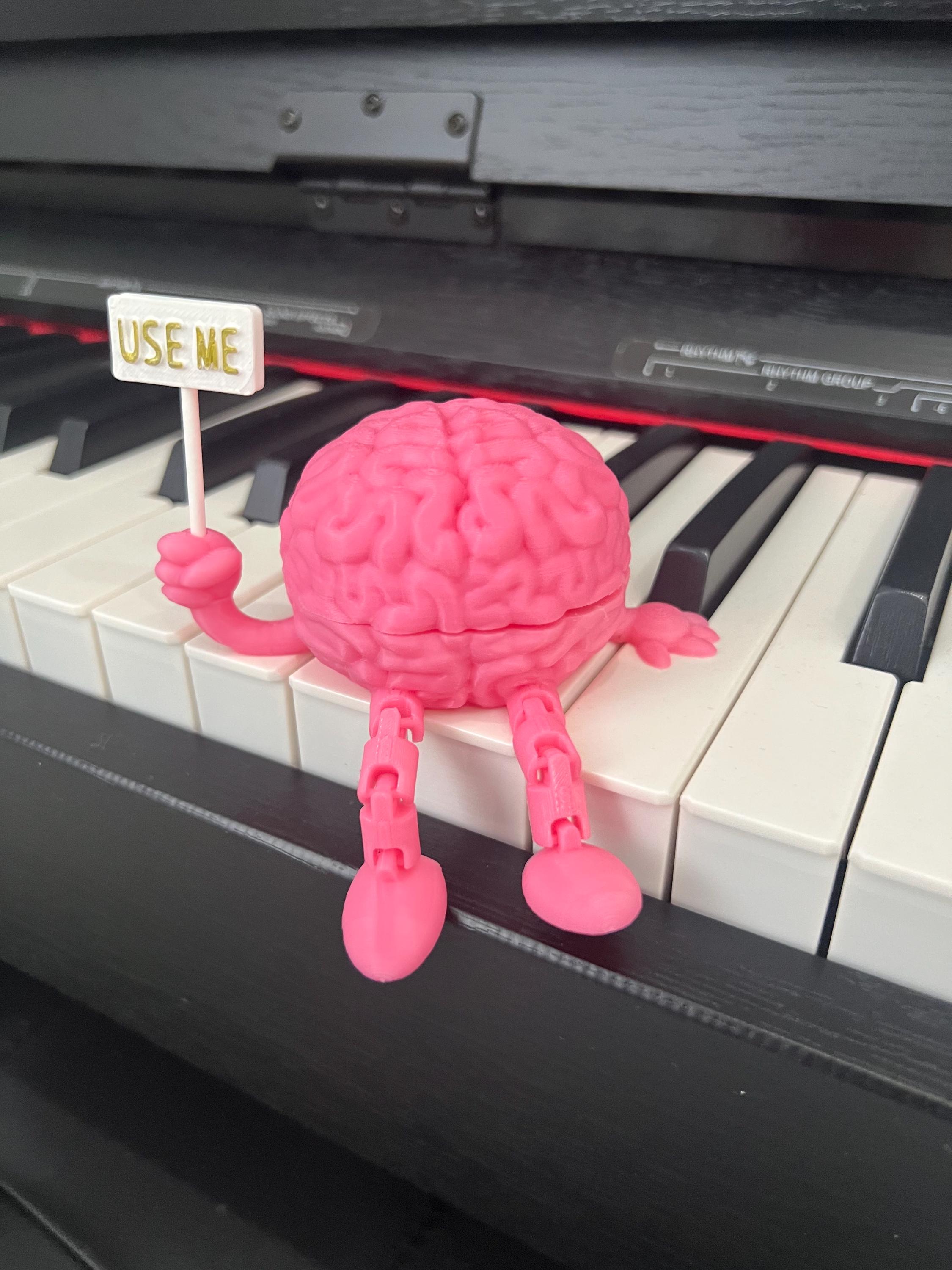 Funny Brain Desk Buddy Pink Brain Figurine With Interchangeable Signs ...