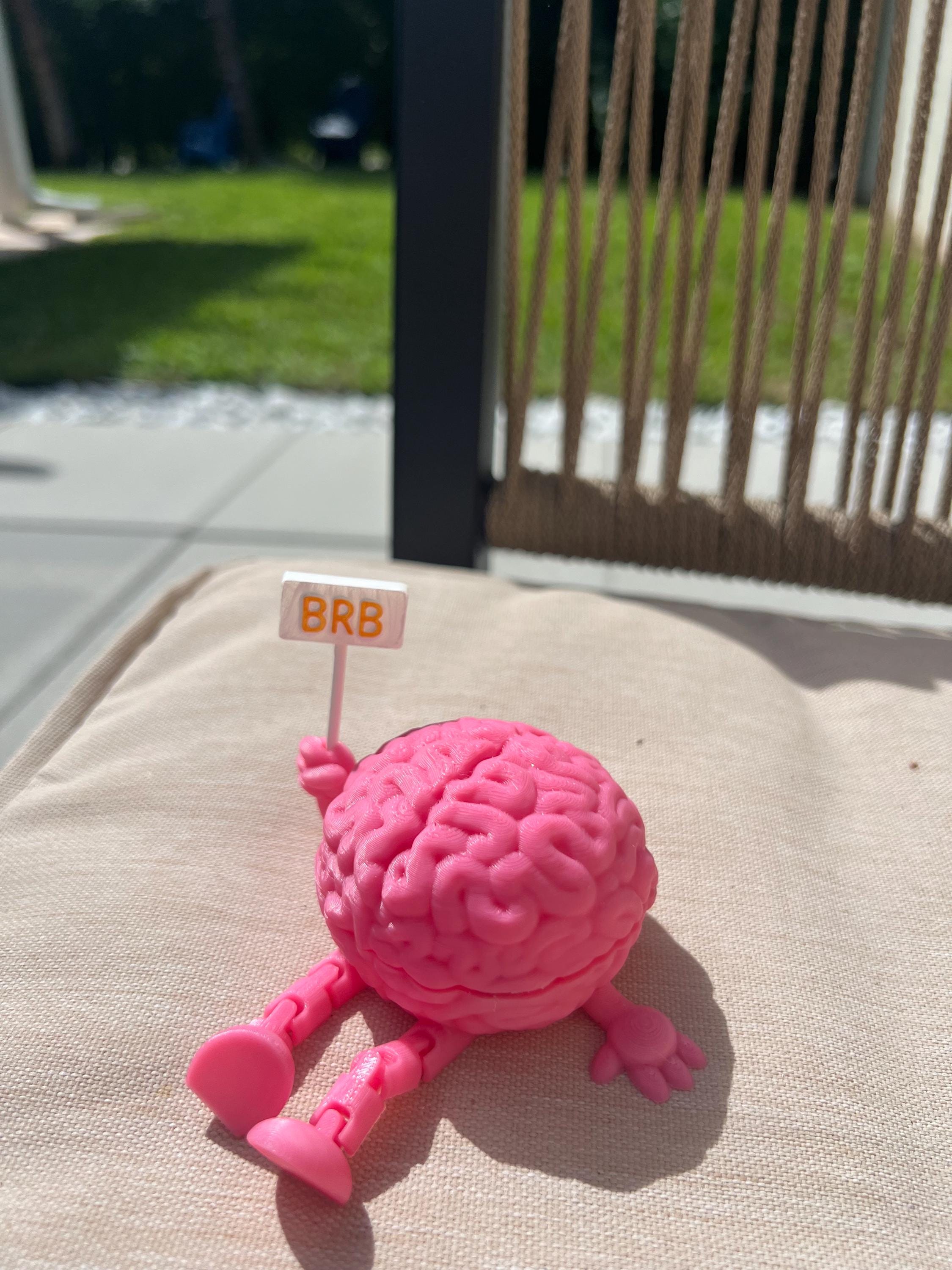 Funny Brain Desk Buddy Pink Brain Figurine With Interchangeable Signs ...