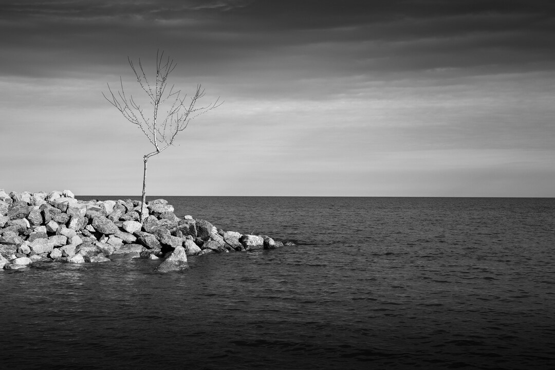 The Beaches 1, Toronto - Etsy