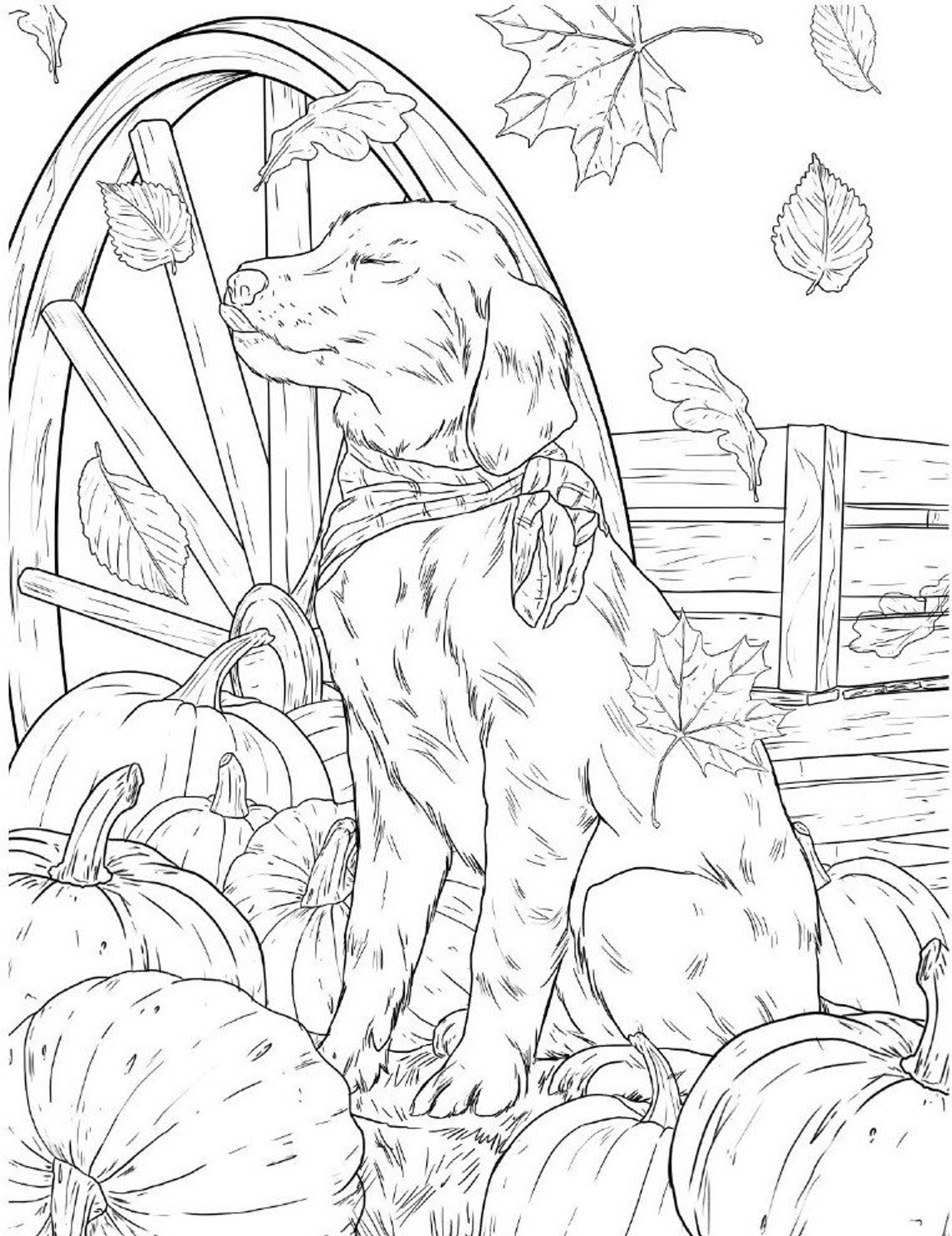 25 Printable Coloring Pages With Sunflowers Scarecrow - Etsy