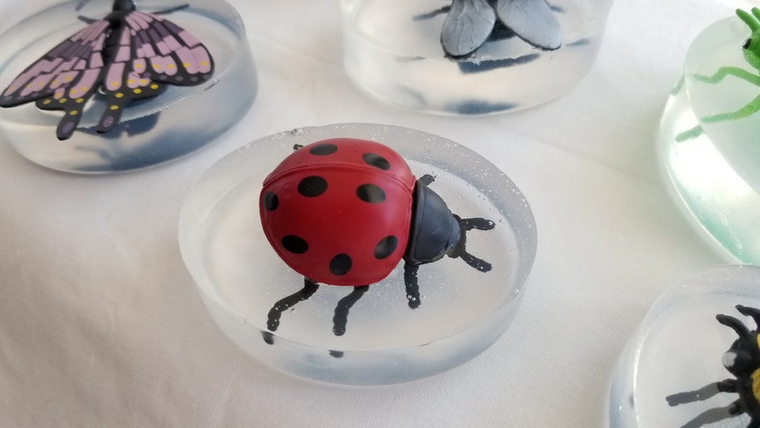 Finger Puppet in Soap Insects in Soap Preschool Learning - Etsy