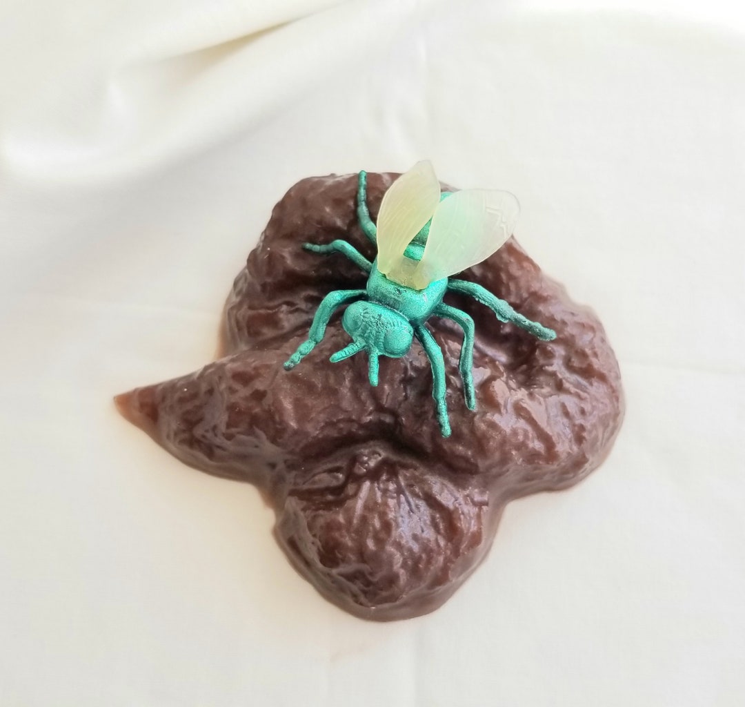 Poop Soap, Gag Gift, A True poop, There It Is Soap - Etsy