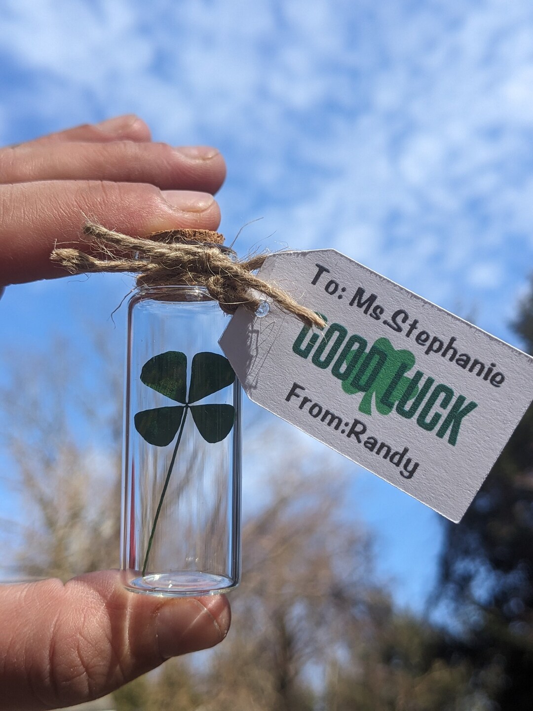 Real Four Leaf Clover , Saint Patrick's Day Gifts , Personalized Clover ...