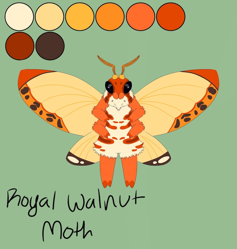 Fursona Adopt Royal Walnut Moth - Etsy