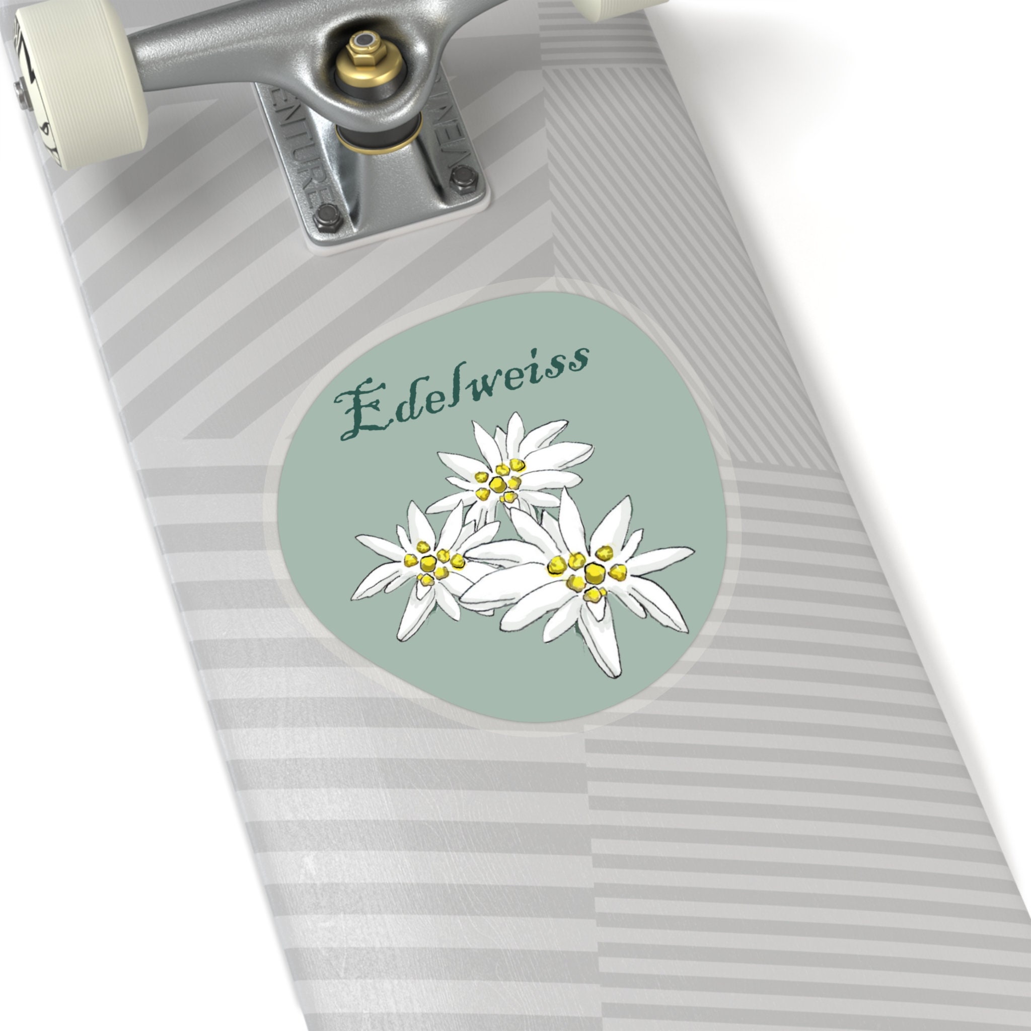 Edelweiss Sticker: Hand Illustrated Alpine Wildflowers, Sound of Music ...