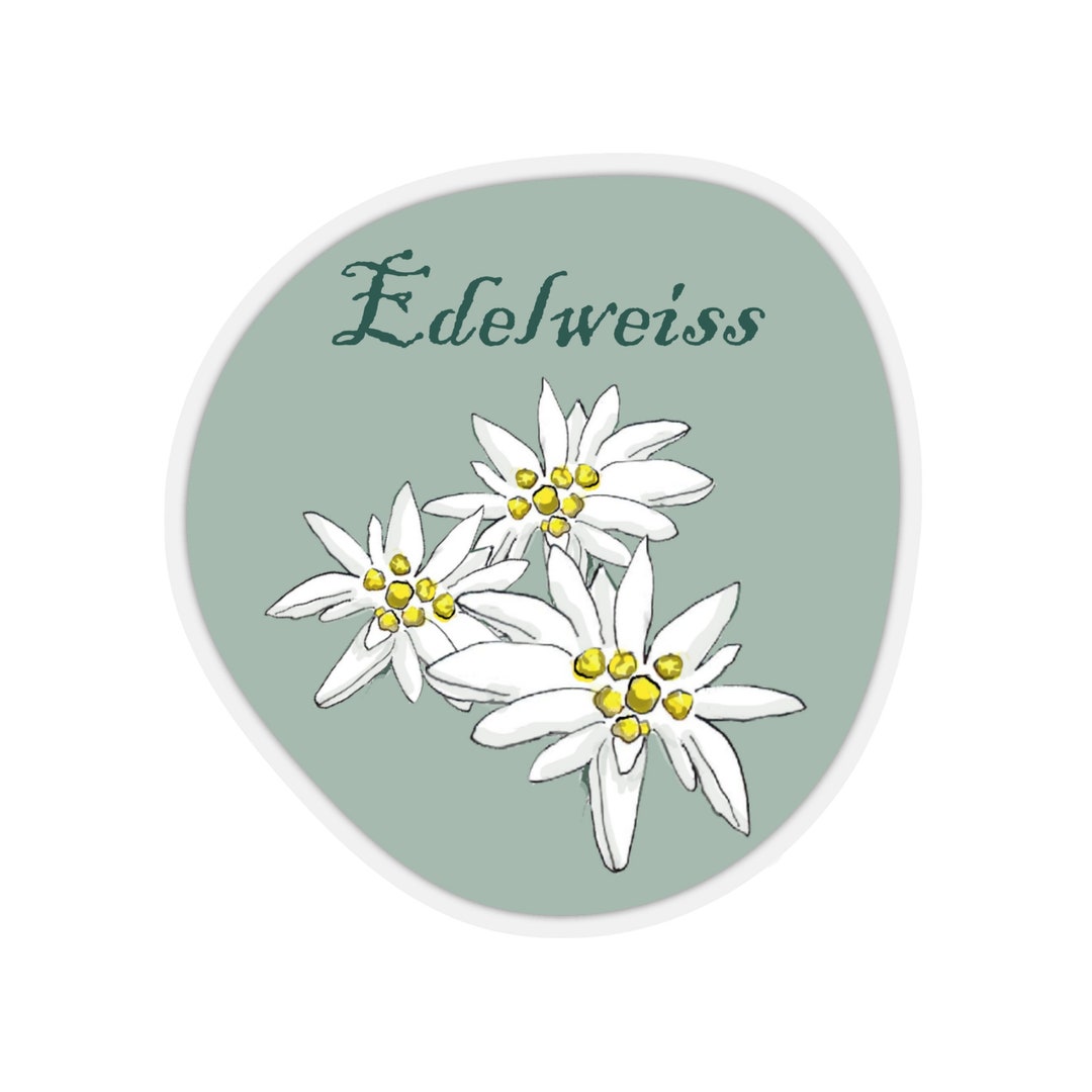 Edelweiss Sticker: Hand Illustrated Alpine Wildflowers, Sound of Music ...