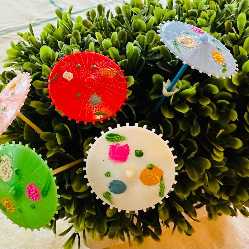 Plastic Nut Cup - Etsy