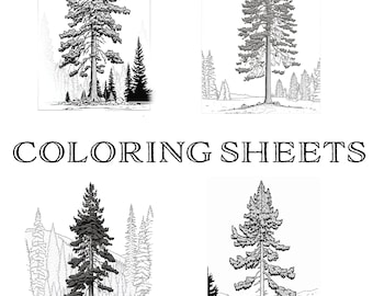 Outdoornerdart Pacific Northwest Coloring Page 2 - Etsy