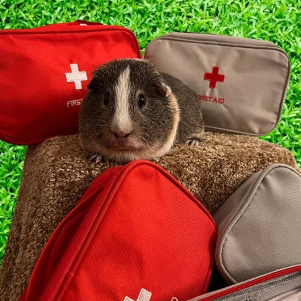 Bunny First Aid Kit - Etsy