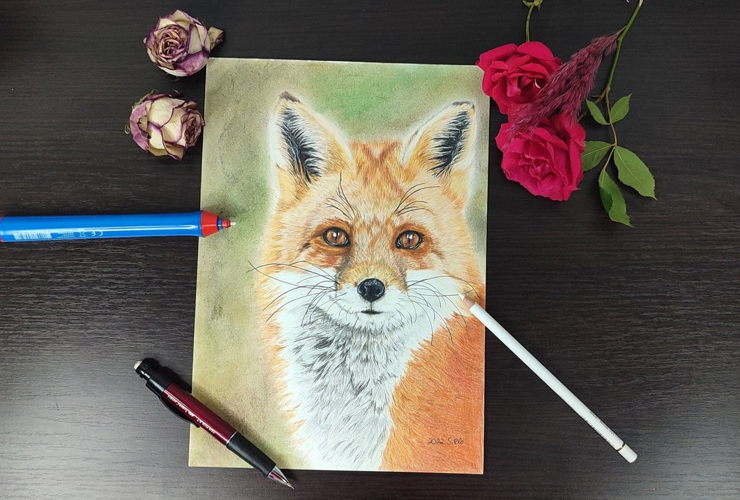 Original Fox Crayon Drawing, Fox Artwork, Fox Mural, Fox Pictures ...