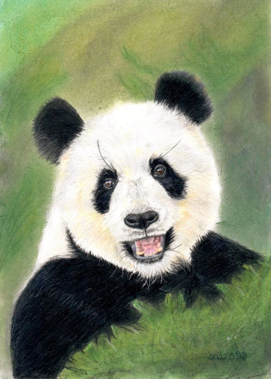 Panda Bear Colored Pencil Drawings A4 Original Wall - Etsy