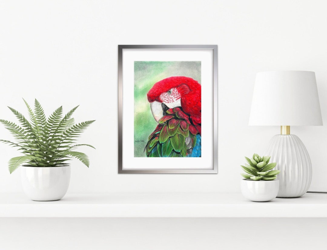 Parrot Crayon Drawings A4 Original Gift Macaw Drawn Wall - Etsy