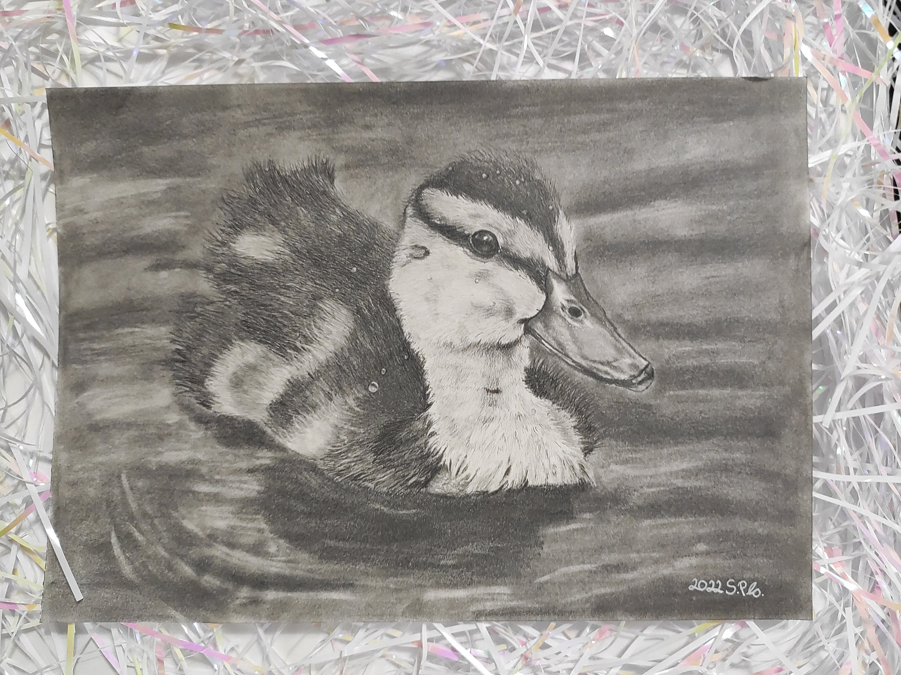 Duck Pencil Drawing A4 Original Duck Drawing Gift Home - Etsy