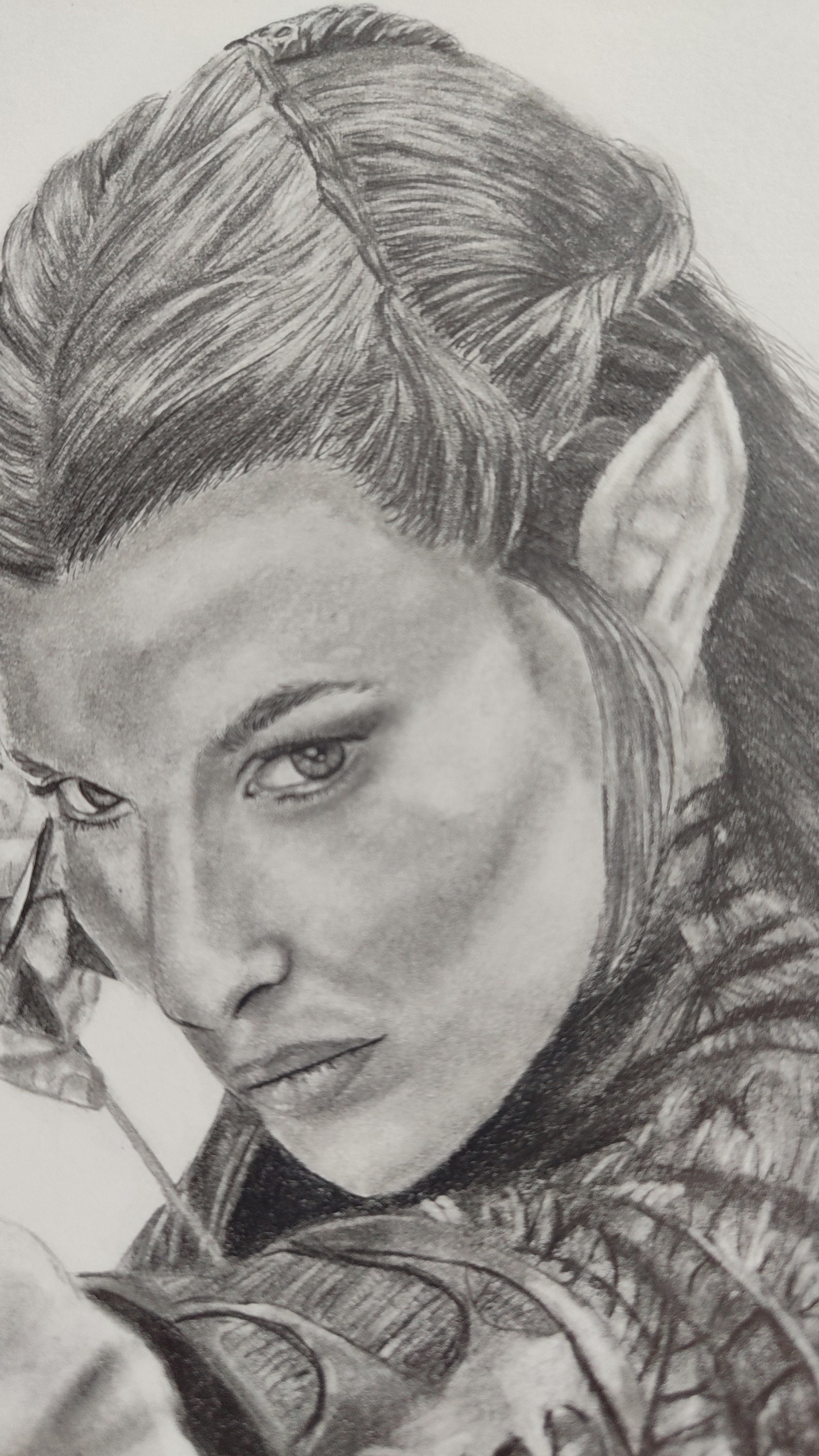 Elven Pencil Drawing the Hobbit Original A4 / Gift / Home - Etsy