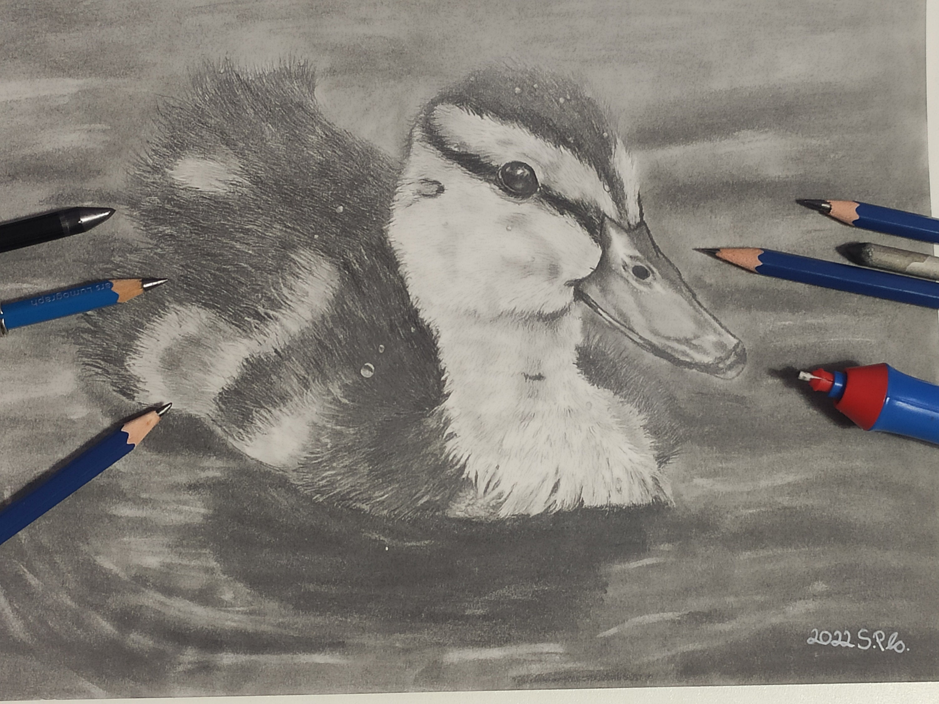 Duck Pencil Drawing A4 Original Duck Drawing Gift Home - Etsy