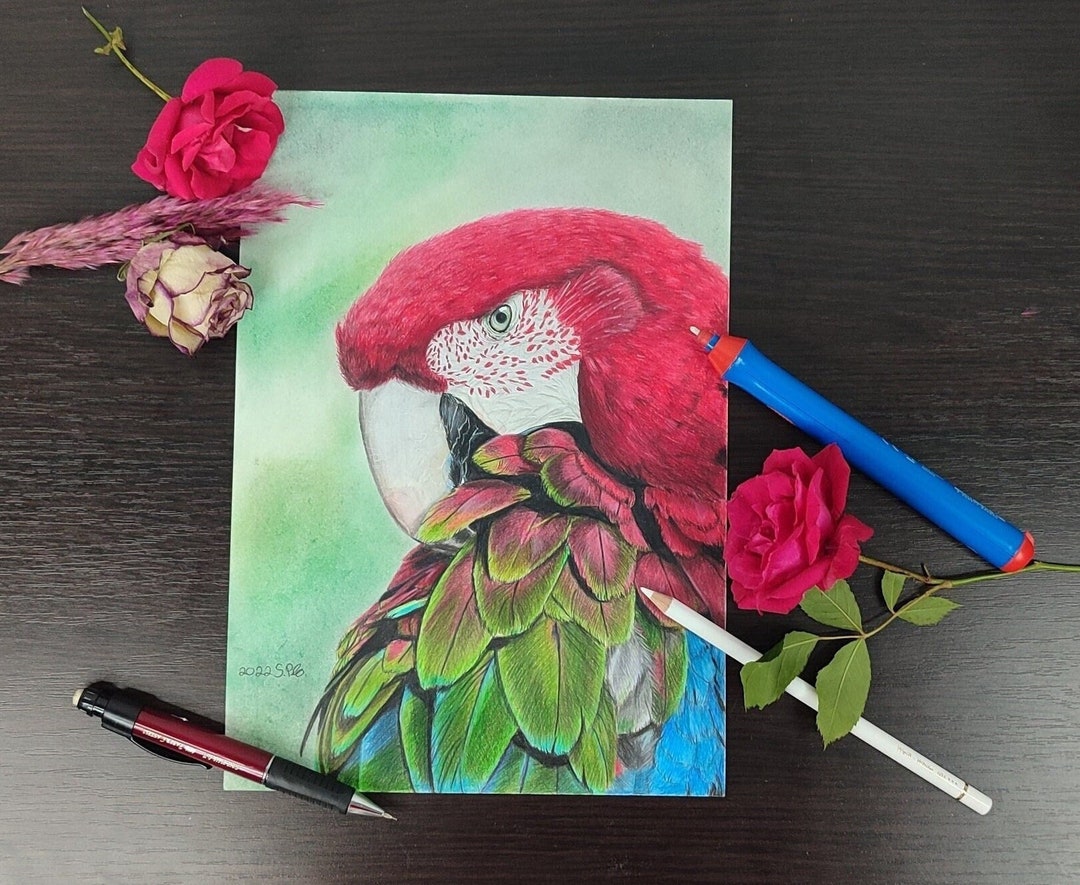 Parrot Crayon Drawings A4 Original, Gift, Macaw Drawn, Wall Decoration ...