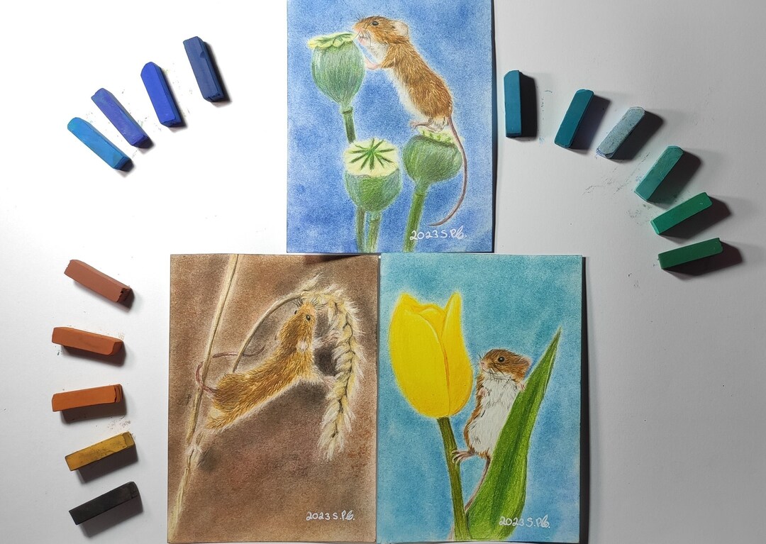 Mice 3st. Colored Pencil Drawing, Small Pictures, Animal Drawing ...