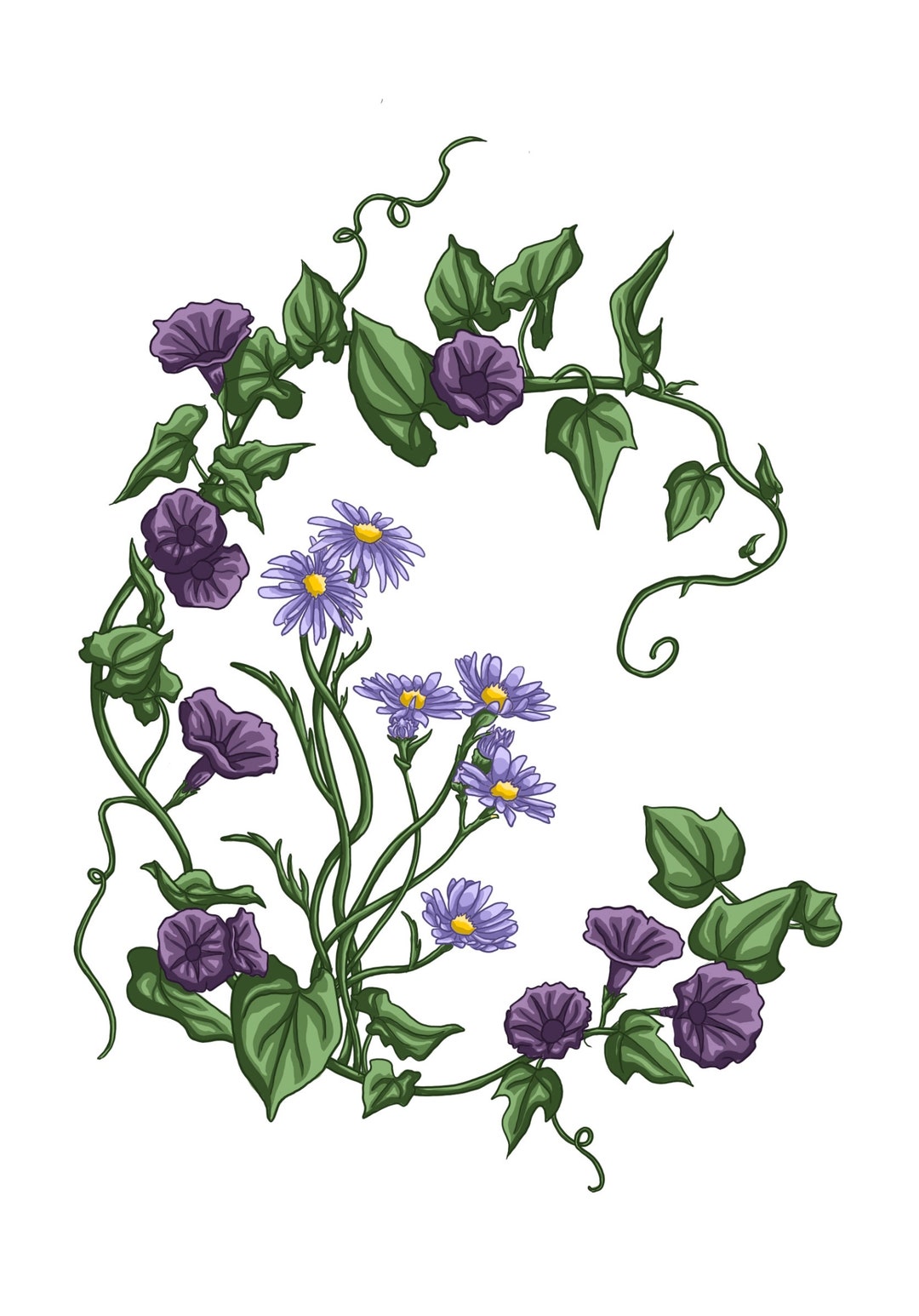 September Morning Glories and Asters Art Print - Etsy