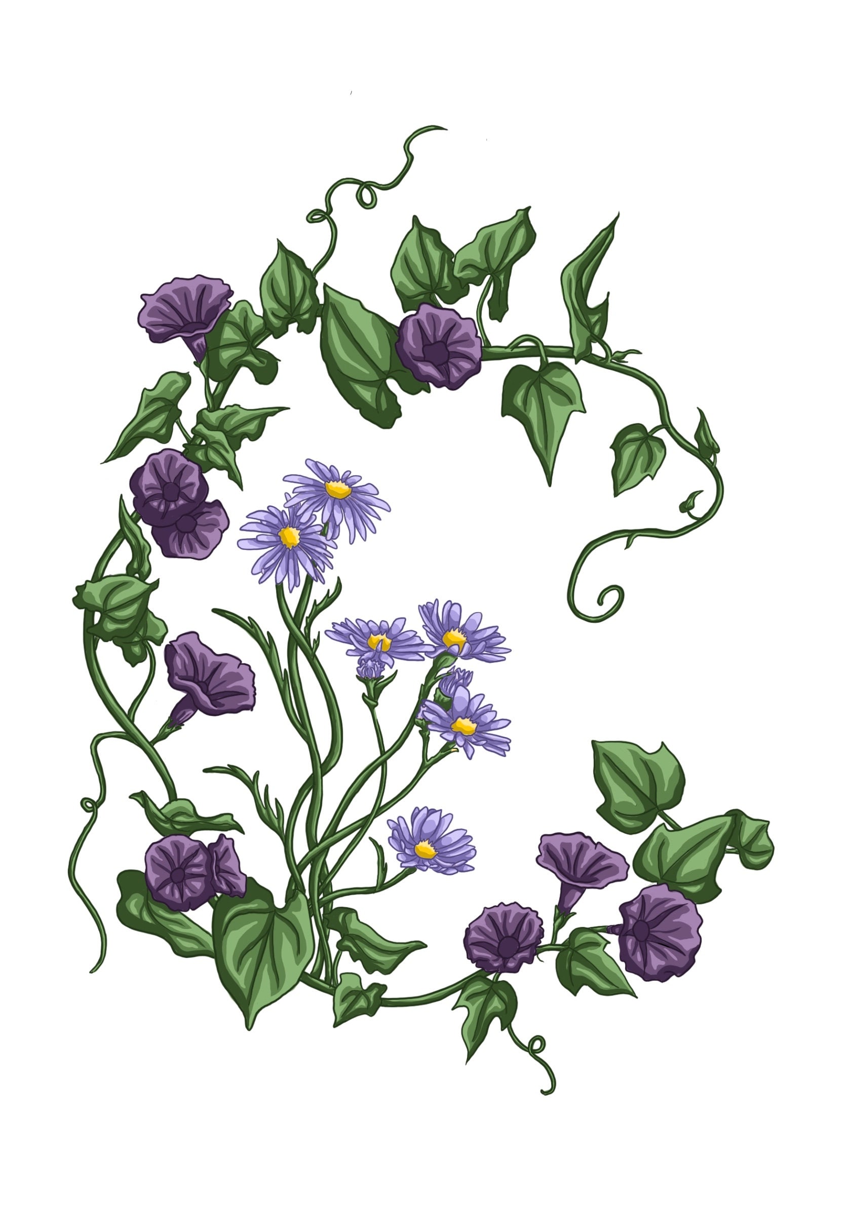 September Morning Glories and Asters Art Print - Etsy