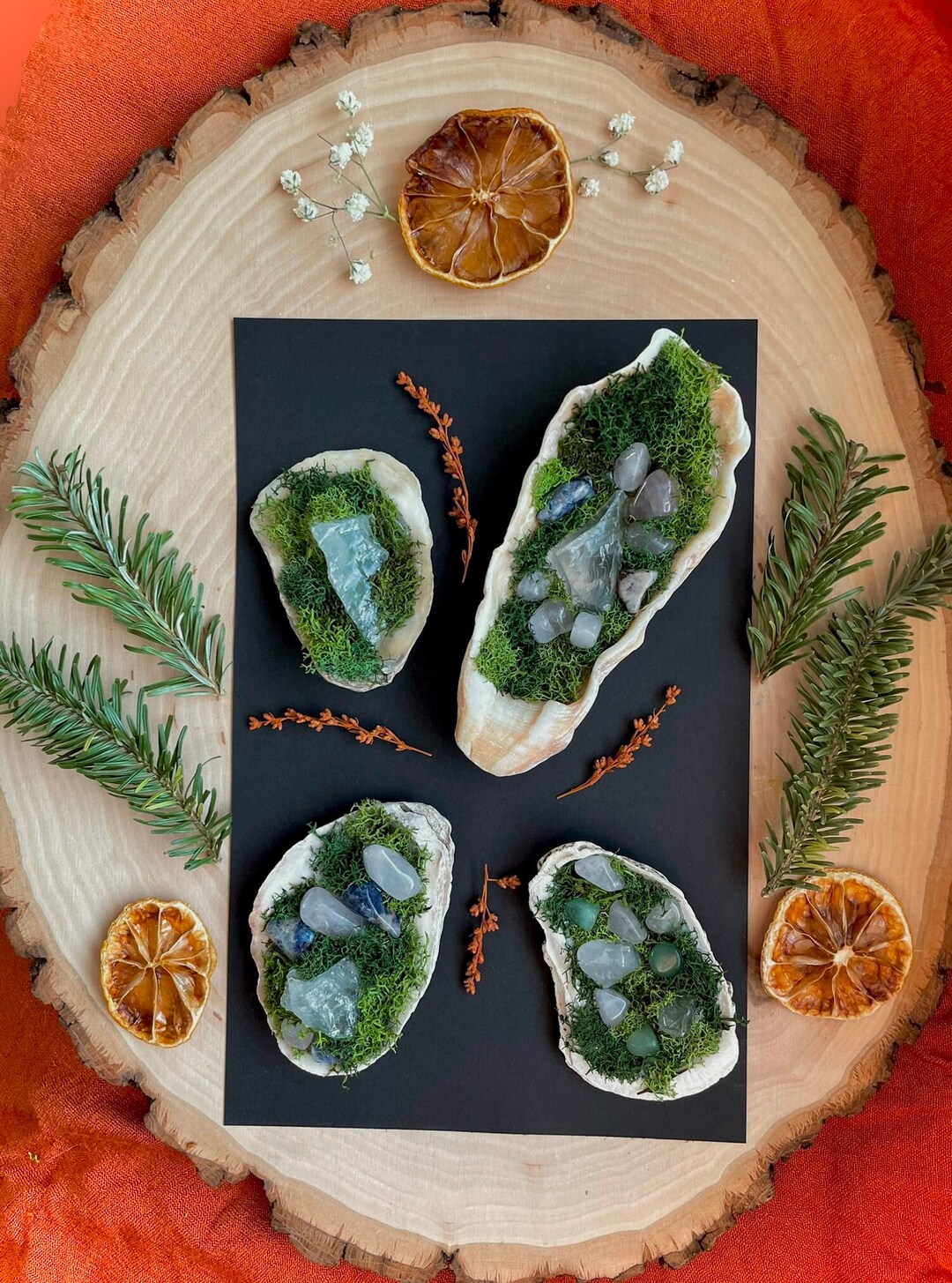 River Shell Crystal Grids - Etsy