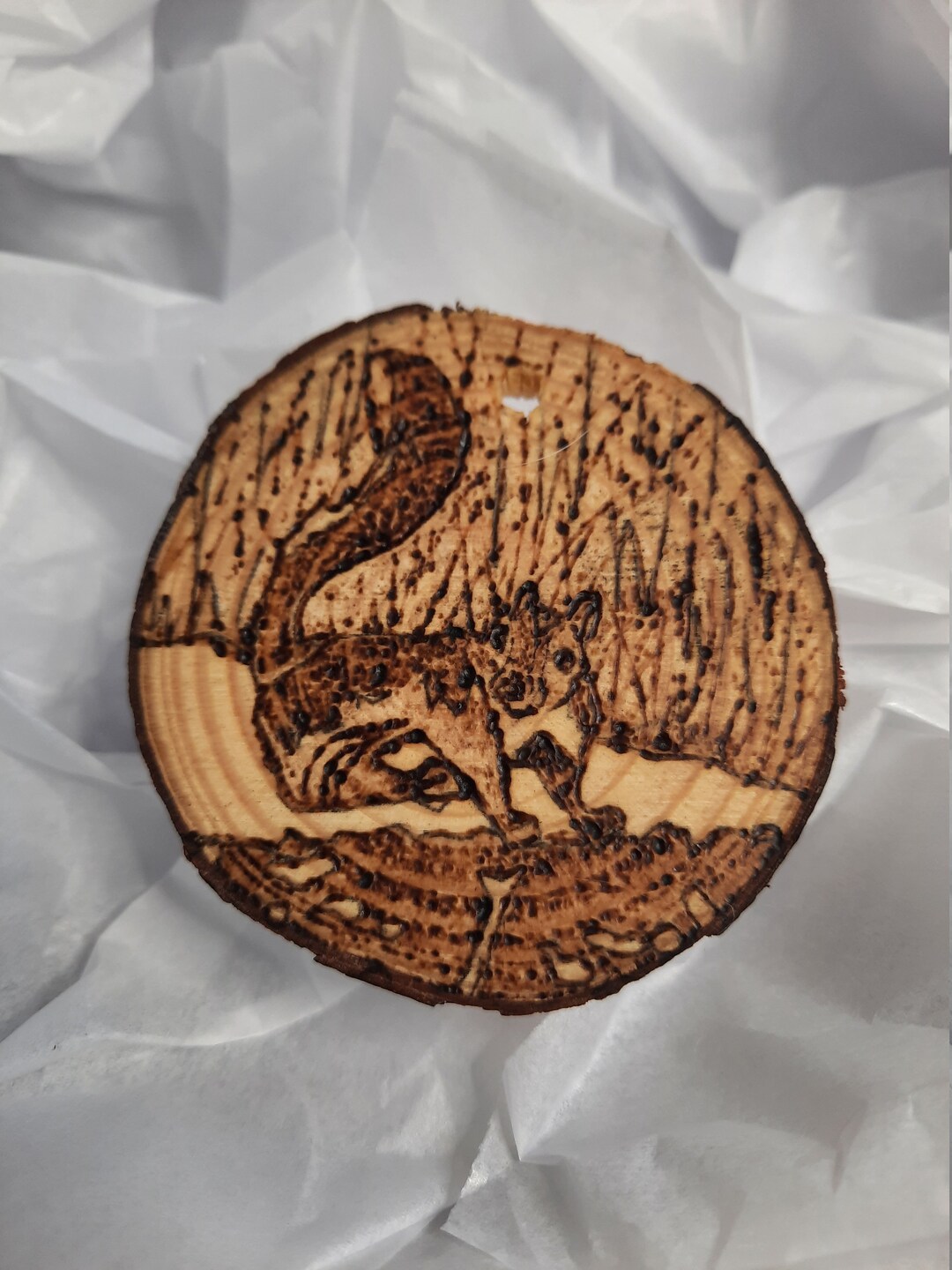 Squirrel Wood Burning (rex) - Etsy