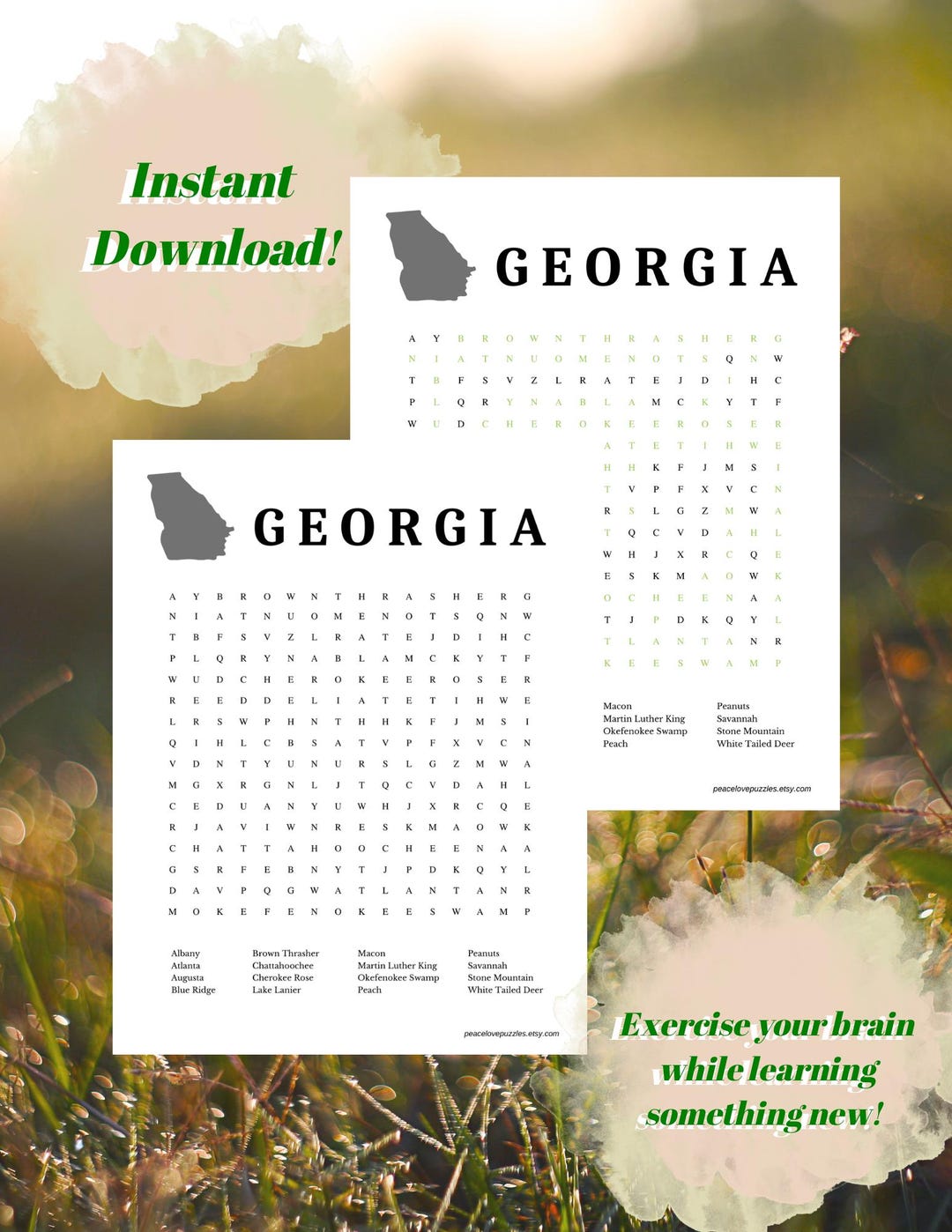 Georgia Word Search, Fun Word Puzzle, Learn and Play, US State Word ...