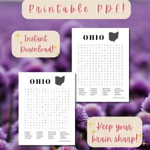 Ohio Word Search Puzzle: US State Word Find (printable PDF) - Etsy