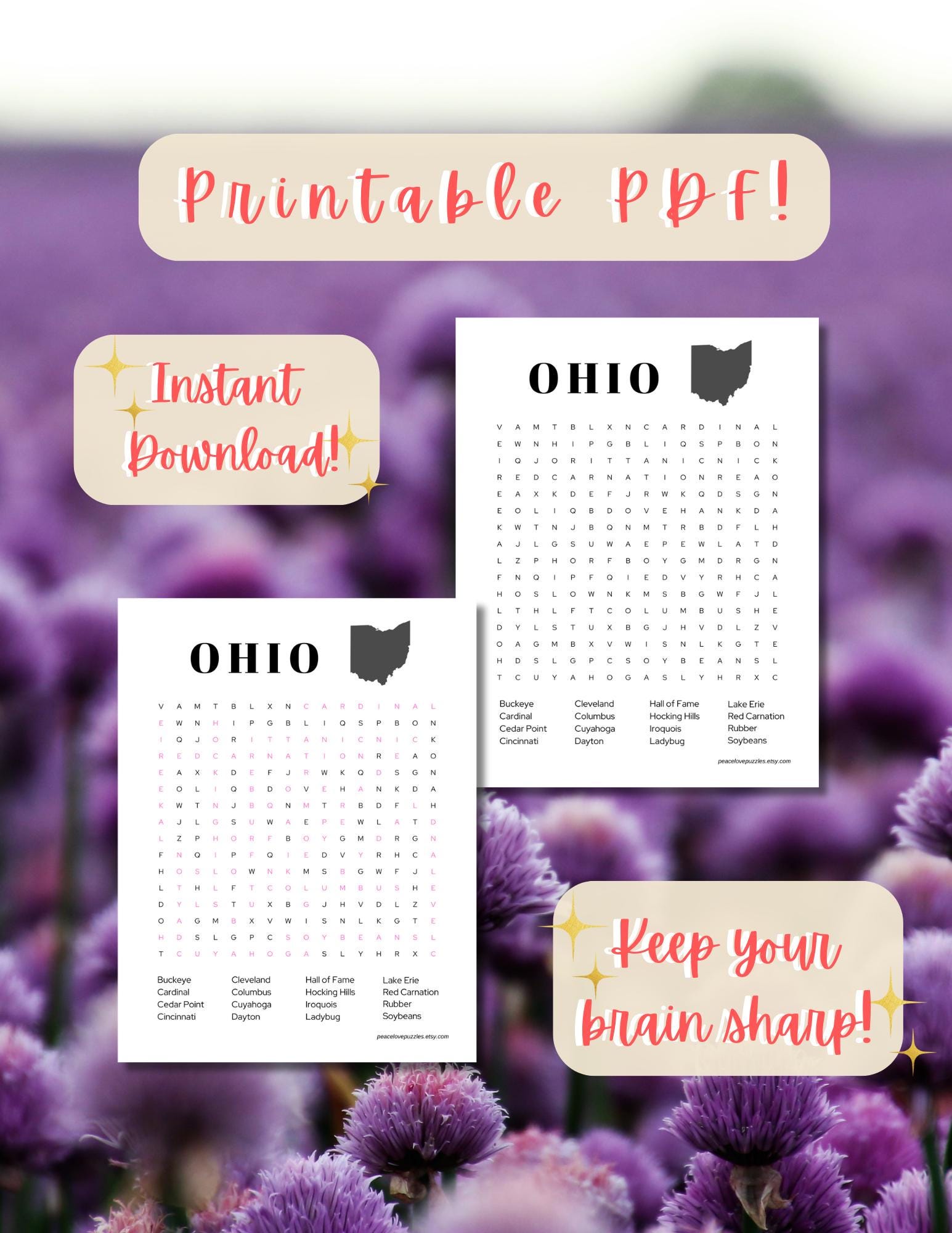 Ohio Word Search Puzzle: US State Word Find (printable PDF) - Etsy