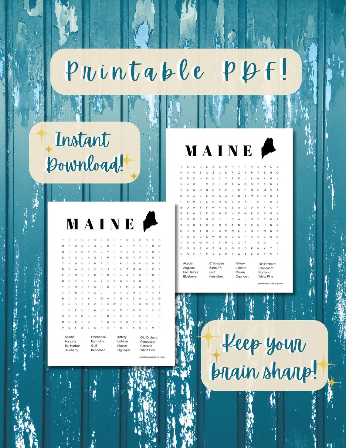 Maine Word Search Puzzle: Fun US State Brain Game (printable PDF) - Etsy