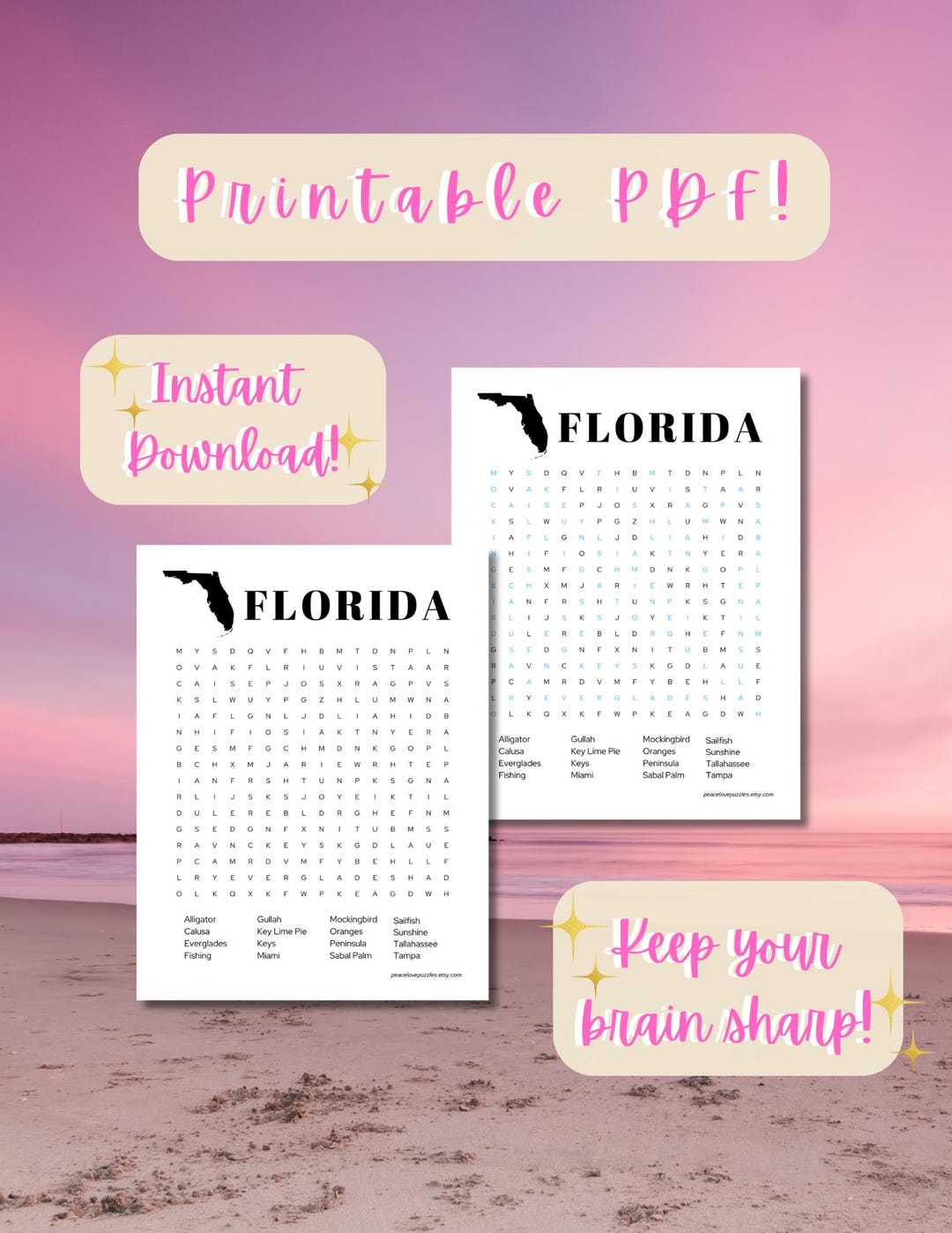 Florida Word Search Puzzle: Fun US State Activity (printable PDF) - Etsy