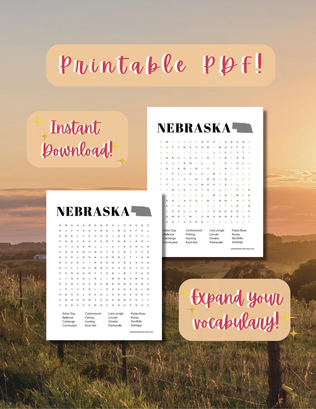 Nebraska Word Search Puzzle: State Landmarks & Facts (printable PDF) - Etsy
