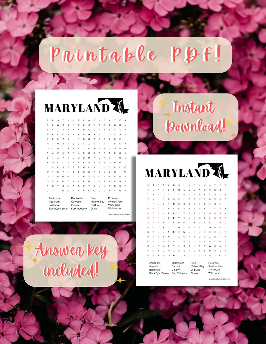 Maryland Word Search Puzzle: US State Word Find (printable PDF) - Etsy