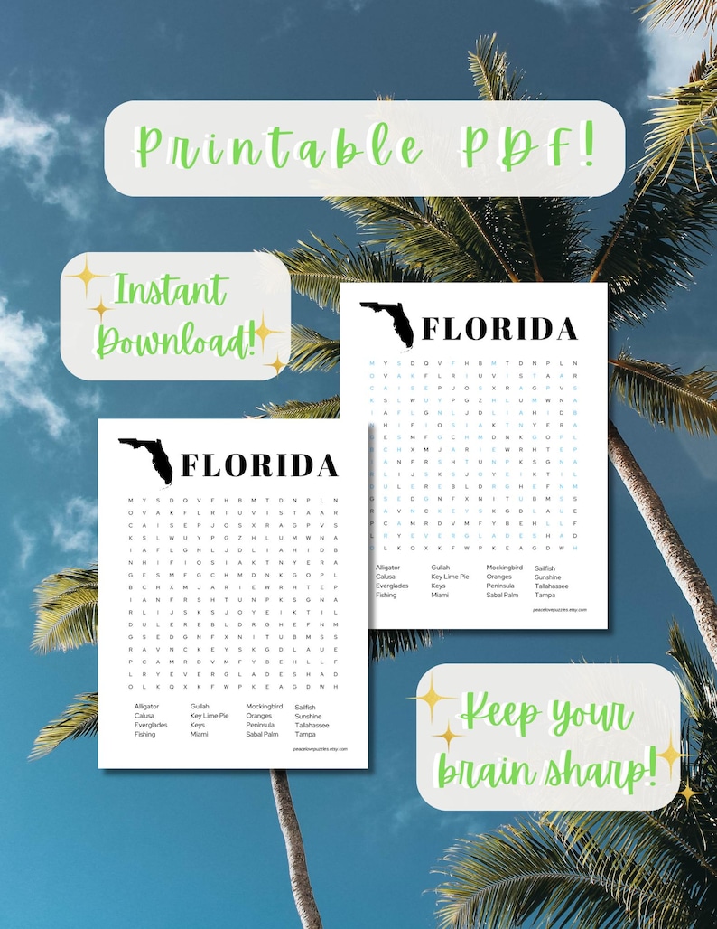 Florida Word Search Puzzle: Fun US State Activity (printable PDF) - Etsy