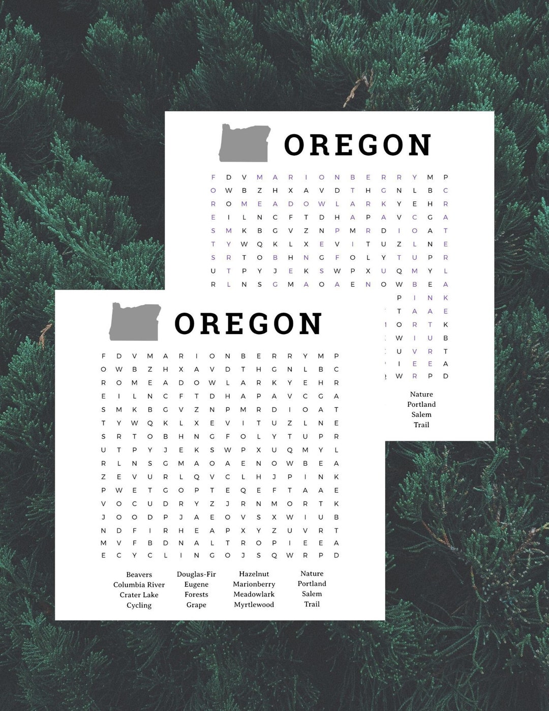 Oregon Word Search, Learn and Play, Fun Word Puzzle, Word Find, US ...